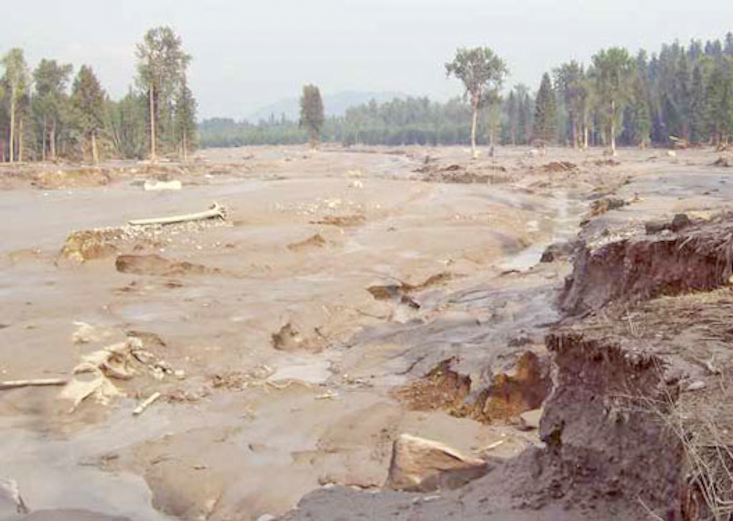 Mt. Polley flooding - One Fish Foundation