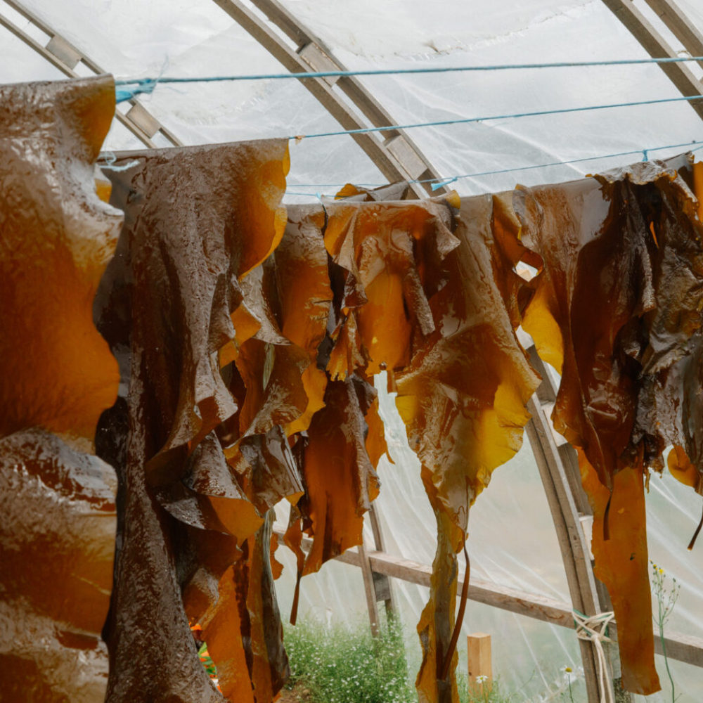 Finding Aquaculture with Values - One Fish Foundation